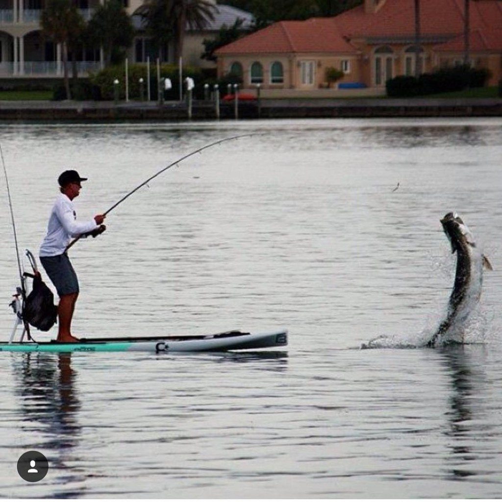 3 Reasons All Kayak Anglers Should Consider Paddle Board Fishing.