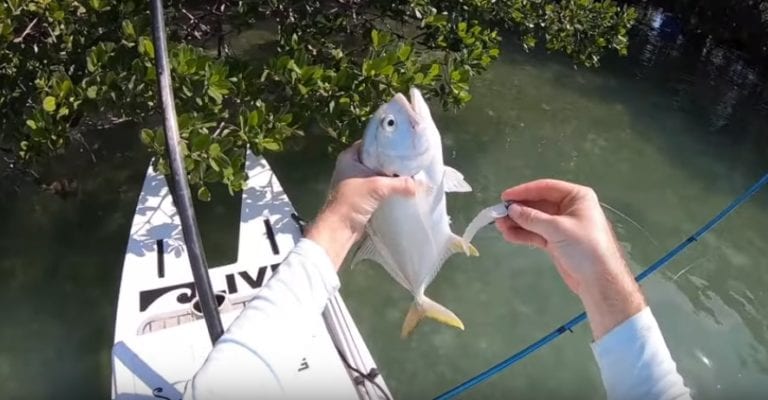 Amazing Inshore Fishing Trip In Brand New Spot (Key Biscayne)!