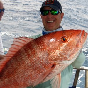 How To Catch Big Red Snapper Like A BOSS [VIDEO]