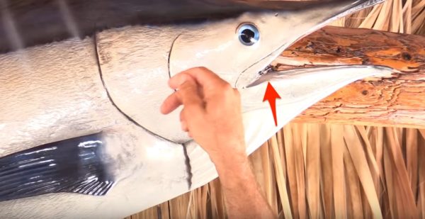 The Quickest Way To Rig A Ballyhoo With A Circle Hook [VIDEO]