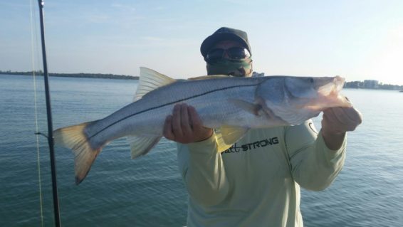 Are You Making These 3 Deadly Mistakes When Releasing Snook?