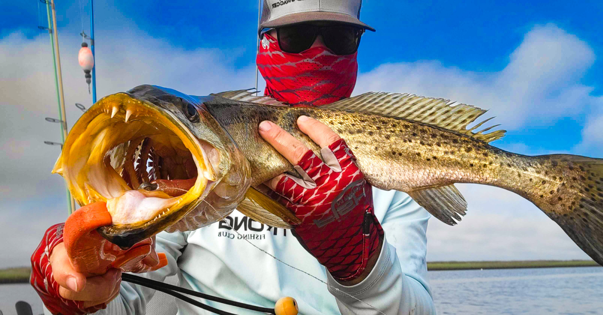 Foolproof Way To Catch Tons Of Fish - FAST!