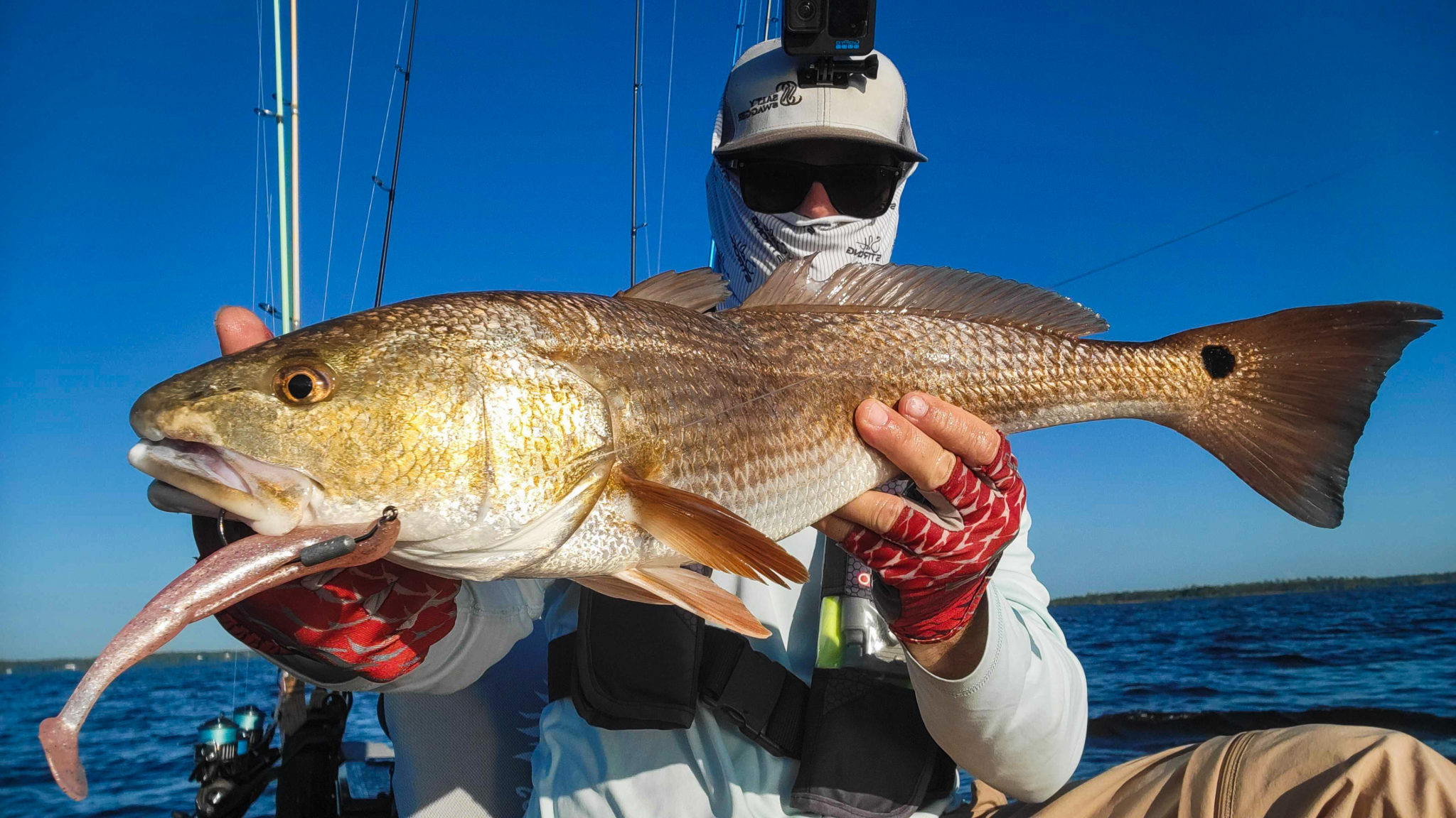 How To Find Current Fall Redfish Trends [Fishing Report]