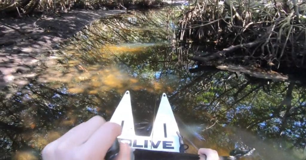 How To Fish Shallow Backwater Creeks In The Winter [Real Time Report]