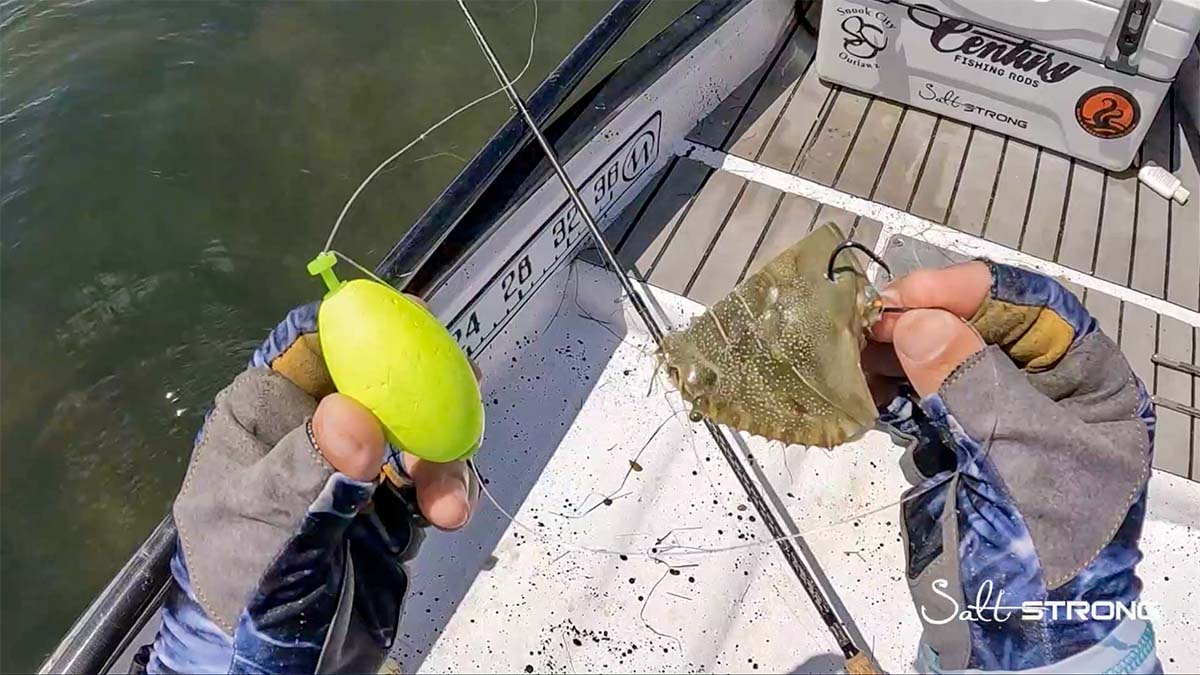 How to Use Cut Bait When You Don't Want it on the Bottom