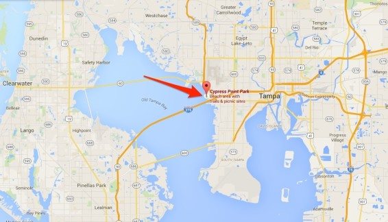 Inshore Fishing Report for Kayakers and Waders in Tampa, FL