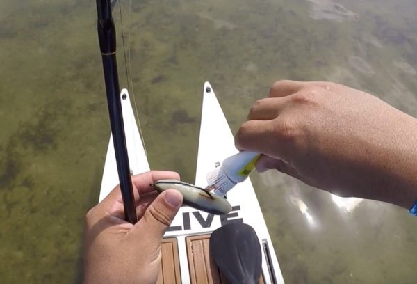 DOA PT-7 Weedless Topwater Lure Review [VIDEO]