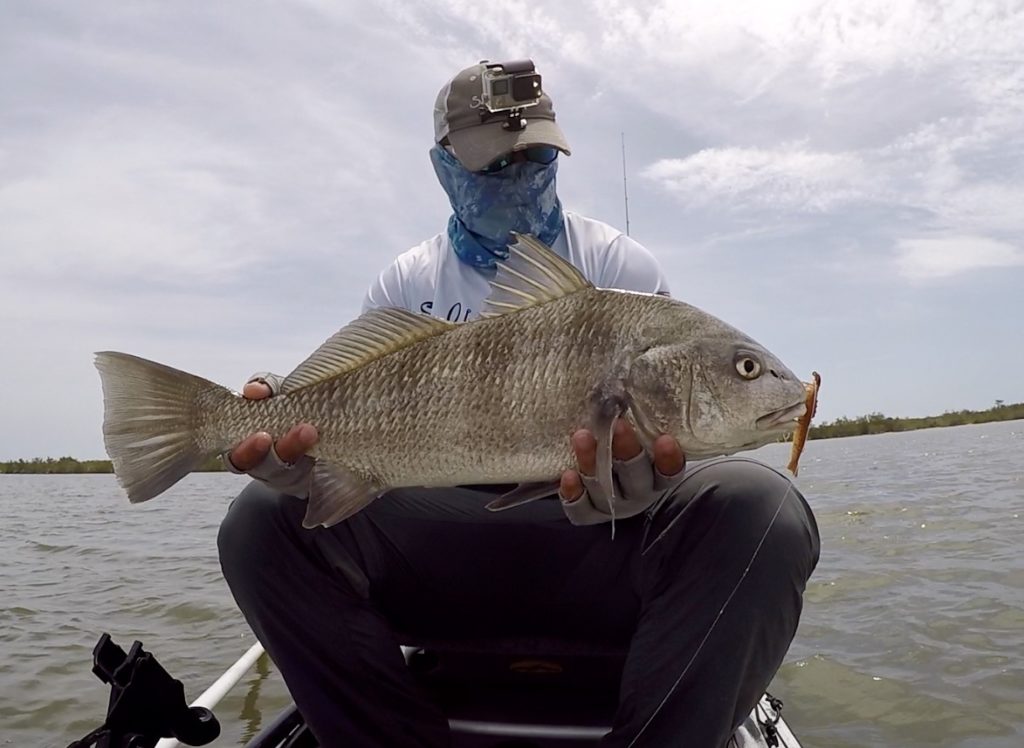 Dead Sticking Tactics For Redfish (Using Gulp Soft Plastics)