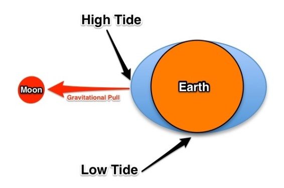 Understanding Tides & Currents » Salt Strong Fishing Club