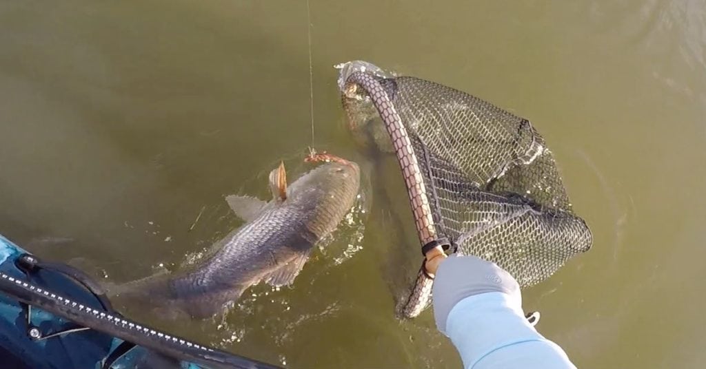 Fish Grips vs. Landing Nets: "How To" And Pros & Cons [VIDEO]