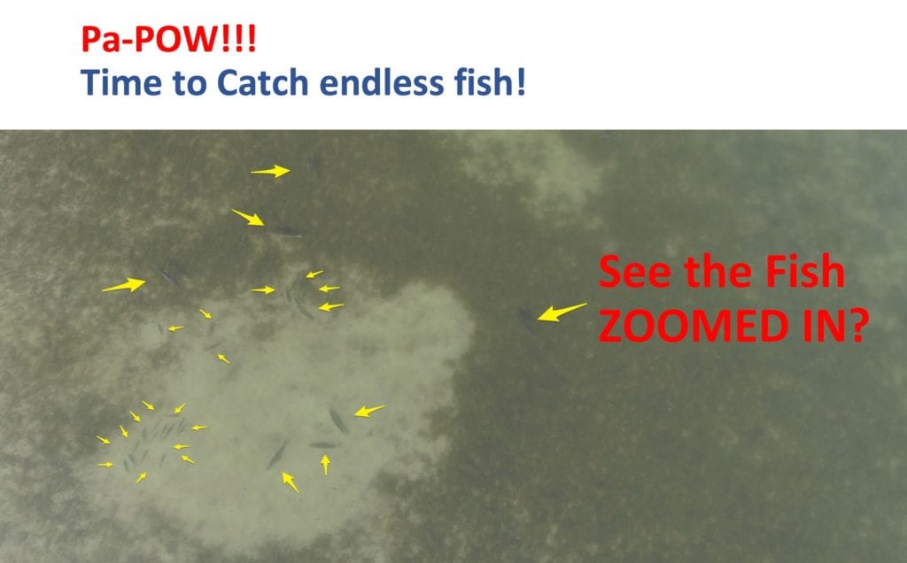 5 Steps To Find The Fish In Your Area (90/10 Fishing Rule)