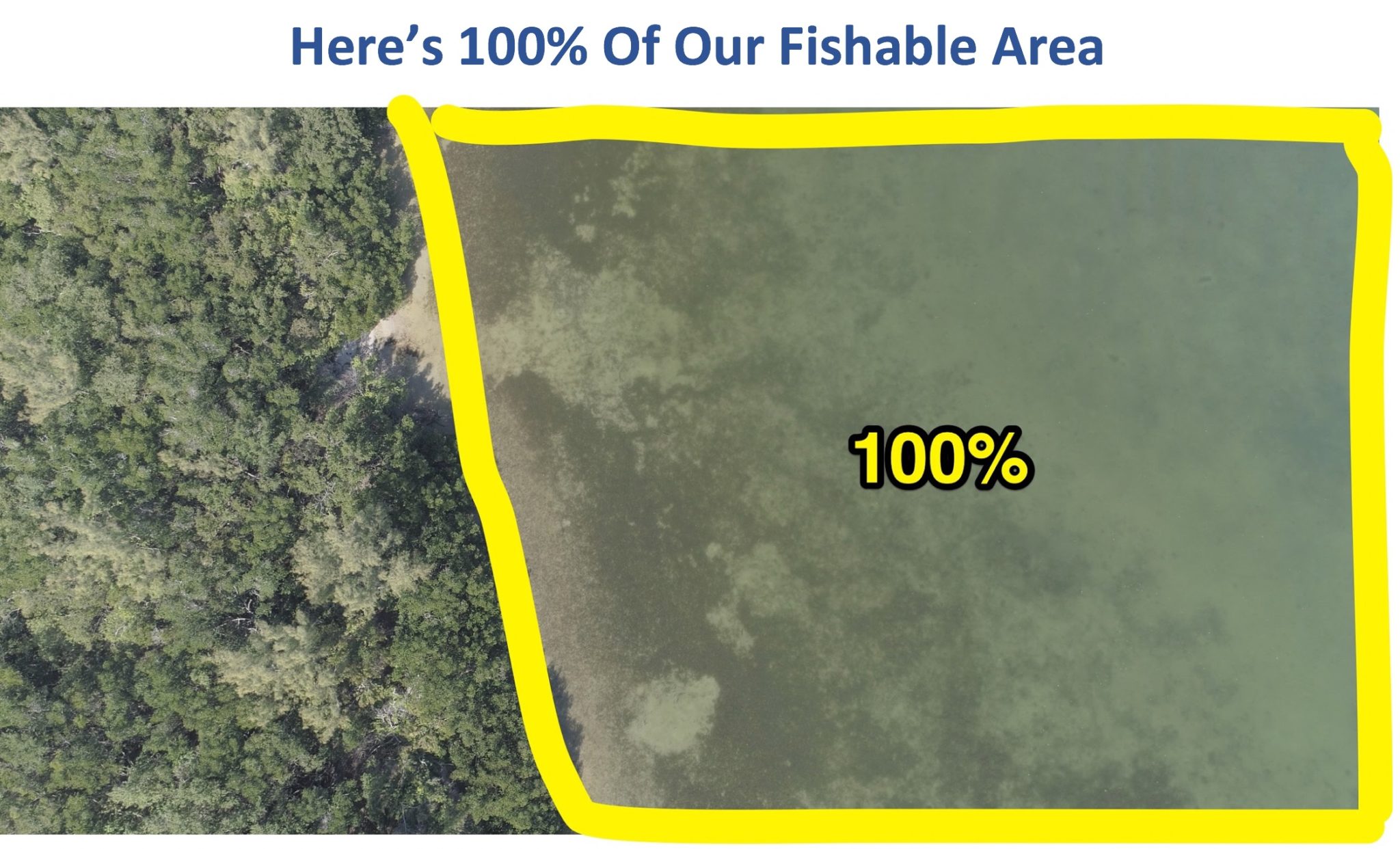 5 Steps To Find The Fish In Your Area (90/10 Fishing Rule)