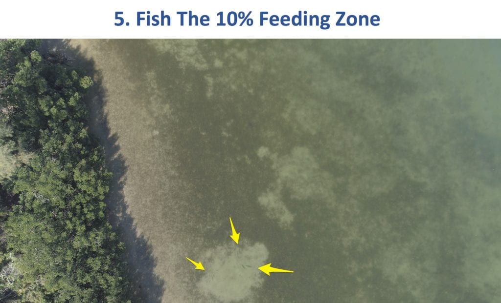 5 Steps To Find The Fish In Your Area (90/10 Fishing Rule)