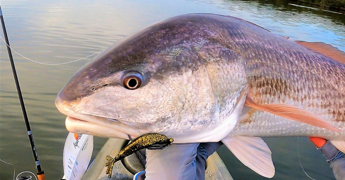 From Pier Rat To The Marines To Fishing Full Time (Ryan Morie Story)