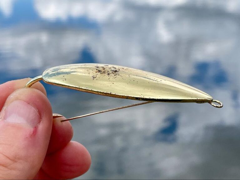 7 Best Saltwater Fishing Lures We've Proven on the Water