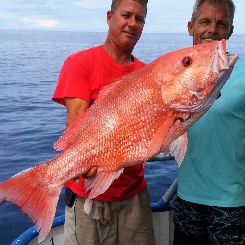 How To Catch Big Red Snapper Like A BOSS [VIDEO]