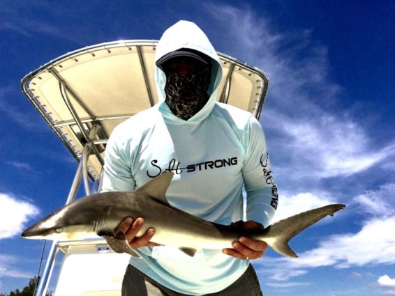 Best Shark Fishing Rig, Baits & Chum Tips (For Inshore Sharks)