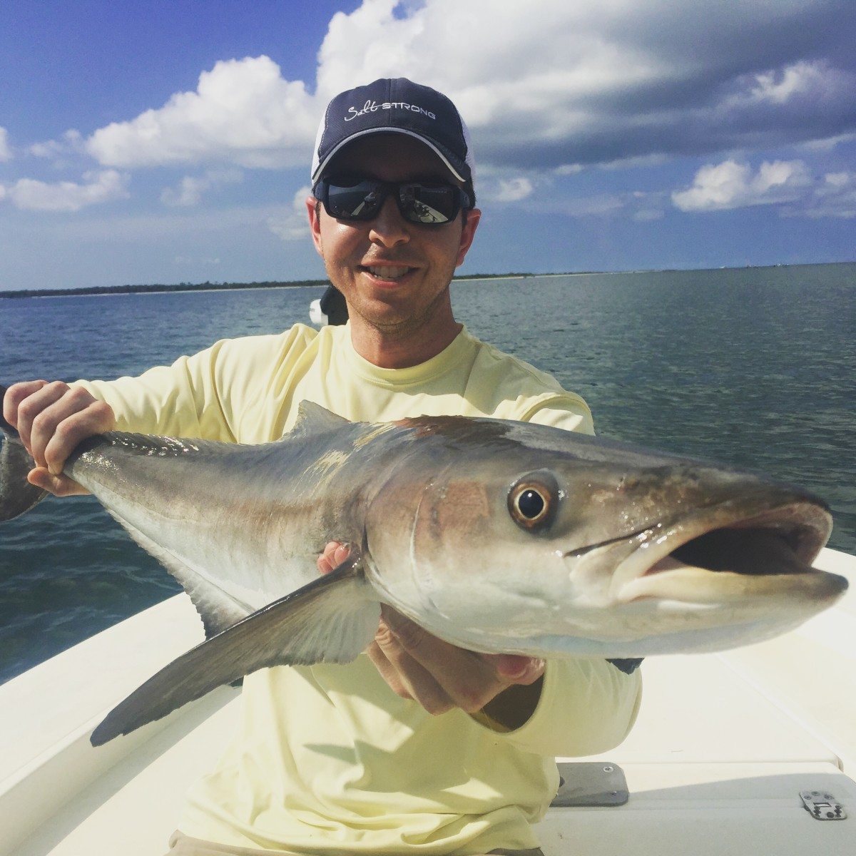 How To Clean & Cook Cobia Like A Pro (VIDEO)
