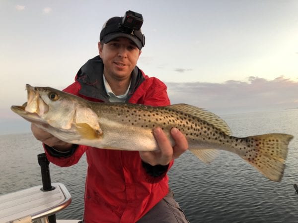 How To Catch Whitebait For Saltwater Fishing (Quick & Easy)