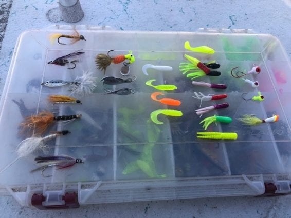 How To Catch Boatloads Of Shad This Winter (Florida Edition)