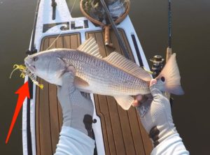 How To Rig Artificial Shrimp Like A Pro (For Any Water Depth)