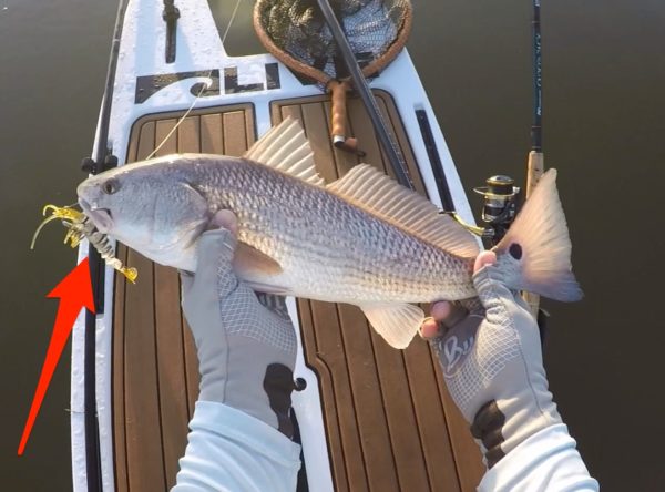 How To Rig Artificial Shrimp Like A Pro (For Any Water Depth)