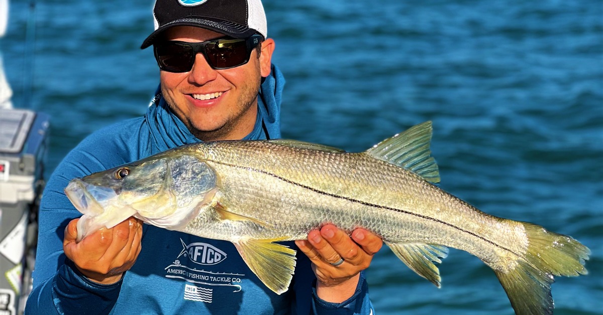 Tailing Redfish EVERYWHERE [Fishing Report - Weedon Island, FL]