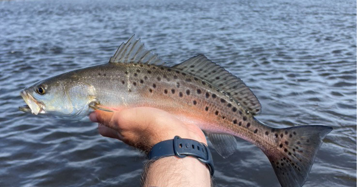 How To Find Feeding Fish When Bait Is Everywhere [Fishing Report]