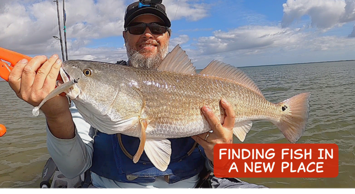 Texas & Louisiana [Spot Dissection - Late Winter Tactics]