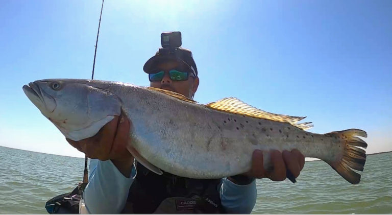 The Reality Of Fish Handling Mistakes (That Kill Trout & Redfish)