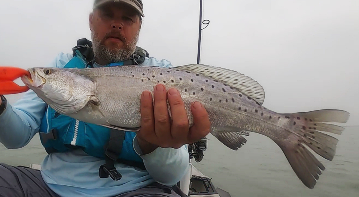 I Fished With Only Topwater Lures For A Year And This Is What I Learned