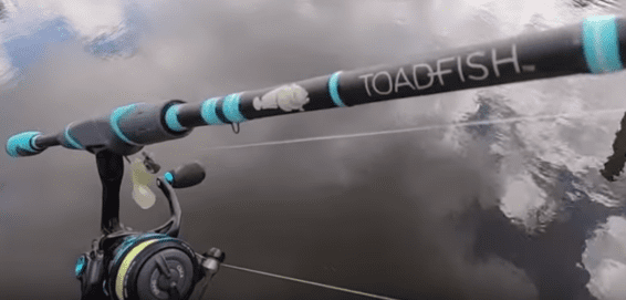 Toadfish Inshore Fishing Rod Review [Top Pros & Cons]