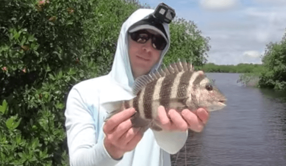 How To Catch Fish With Live Shrimp In The Shallows (Spots & Rigging Tips)