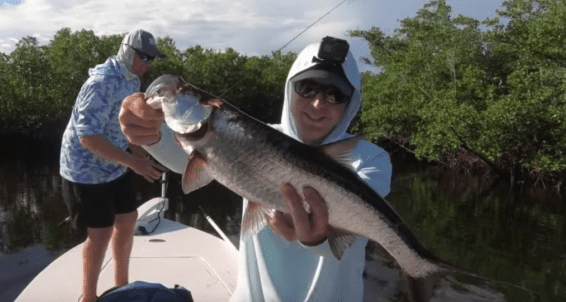 Nonstop Snook & Tarpon Action In The Backcountry [VIDEO]