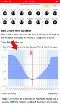 How To Plan Your Next Fishing Trip With This New Fishing Forecast Website