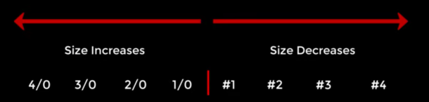How To Choose The Right Size Circle Hook (For Live vs Dead vs Cut Bait)