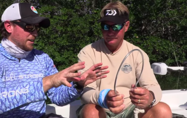 Best Shark Fishing Rig, Baits & Chum Tips (For Inshore Sharks)