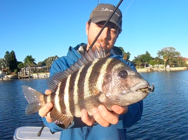 Incredible Underwater Mangrove Snapper Strikes - How They Really Feed