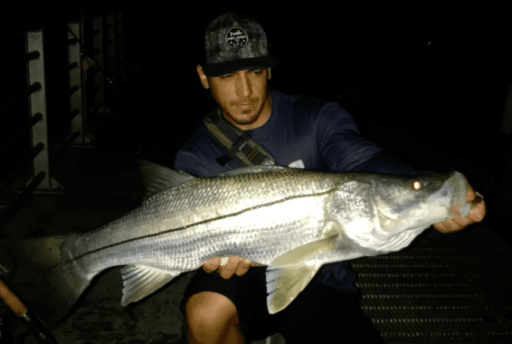 Flair Hawk Jigs: Best Colors, Sizes, Rigging, And More