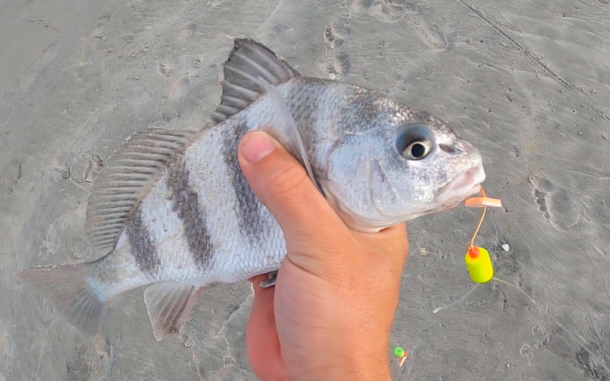 How To Use Fishbites For Surf Fishing (Review & Rigging Tips)