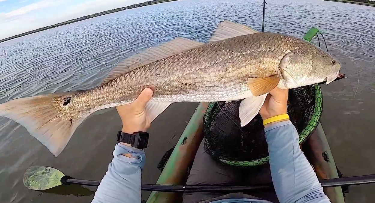 How To Catch Redfish In Shallow Water Like A Pro