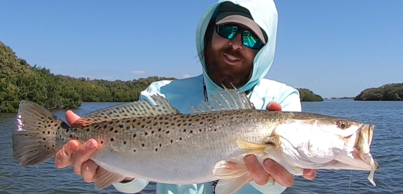 You've Got To See This Amazing Underwater Trout Attack Footage!