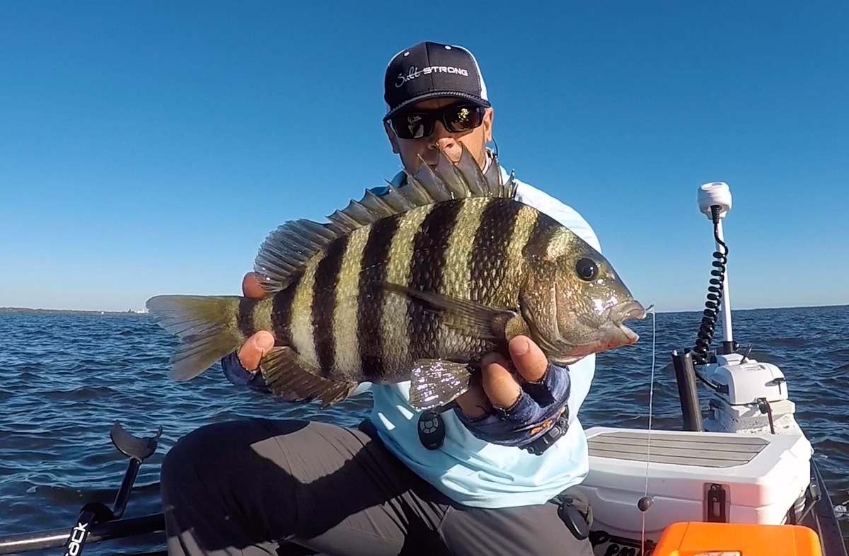 How To Fish Jetties For Sheepshead [Fishing Report]