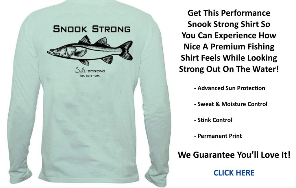 5 Shortcuts For Catching Snook In Florida Like A Pro.