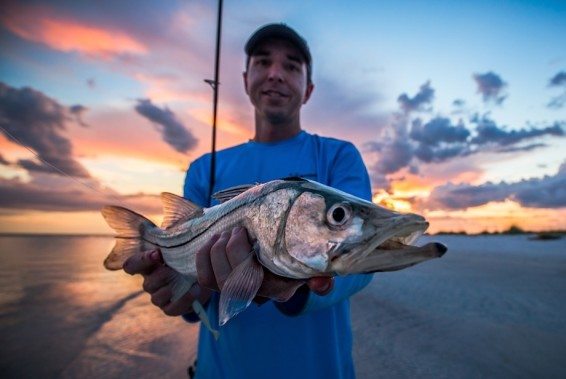 Snook Fishing Secrets From One Of The Best Snook Experts In The World