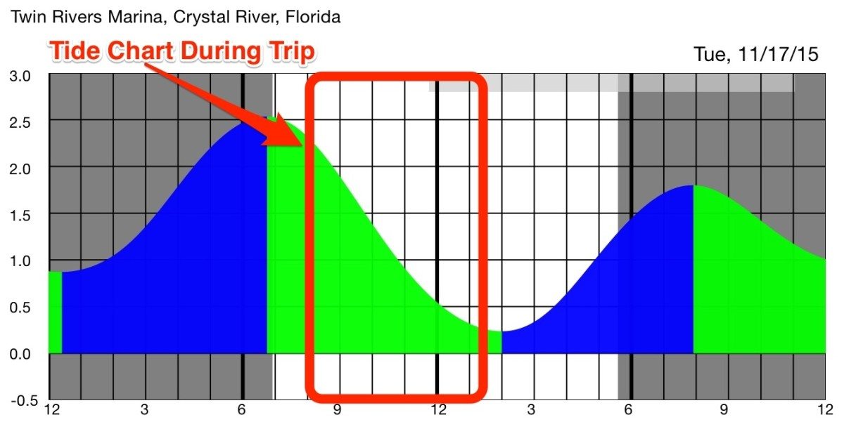 How To Find Redfish In A New Area (Crystal River Fishing Report)