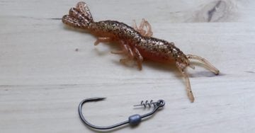 Z-Man Scented ShrimpZ Review [UNDERWATER FOOTAGE]