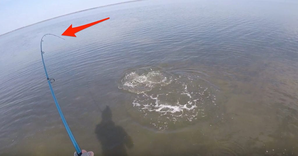 All Star Inshore Series Rod Review [ Top Pros, Cons and Video]