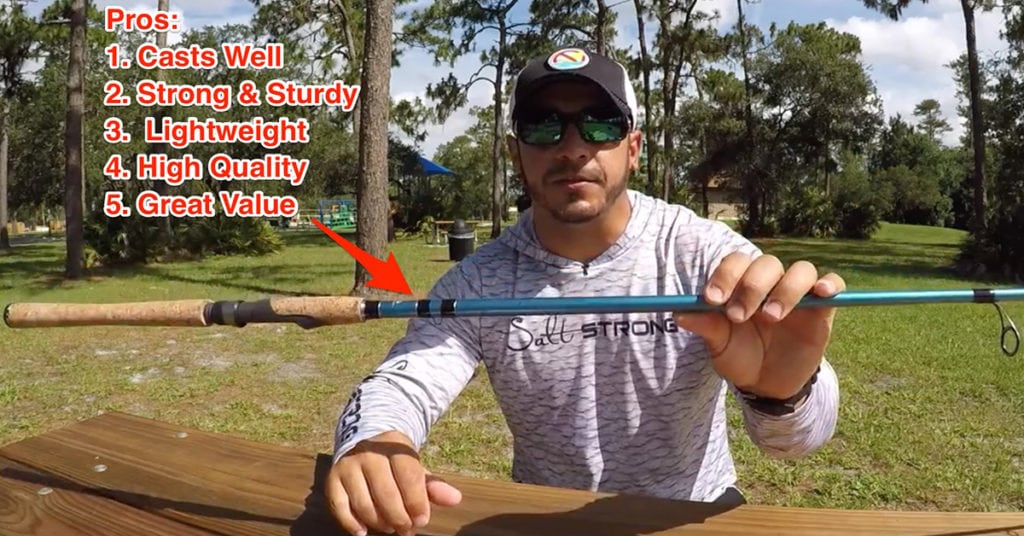 All Star Inshore Series Rod Review [ Top Pros, Cons and Video]
