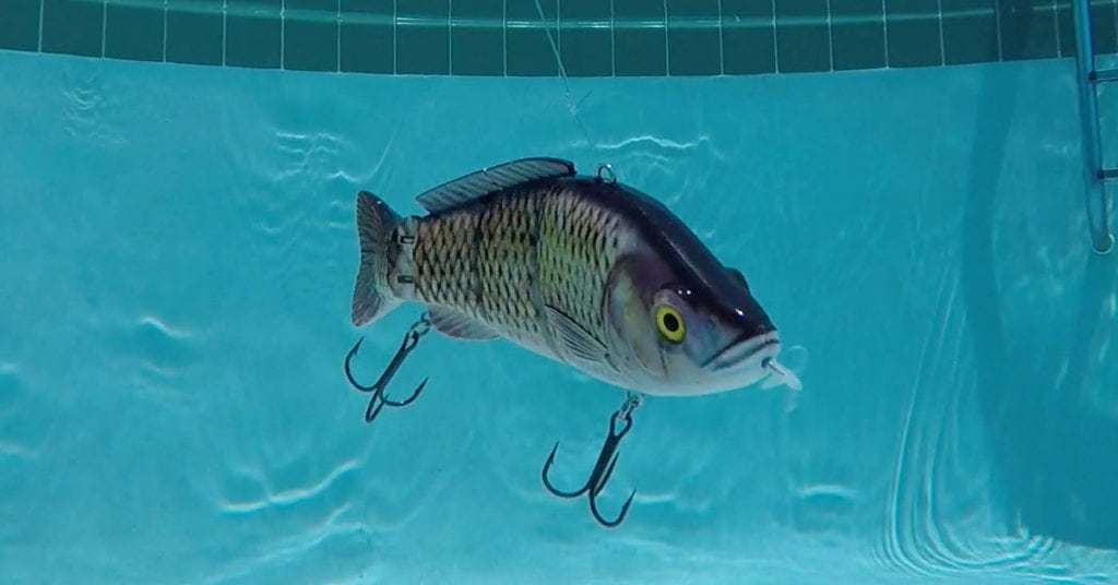 "Animated Lure" Review For Saltwater Anglers [Top 3 Pros & Cons]